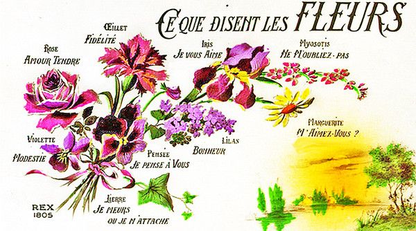 LANGUAGE DES FLEURS